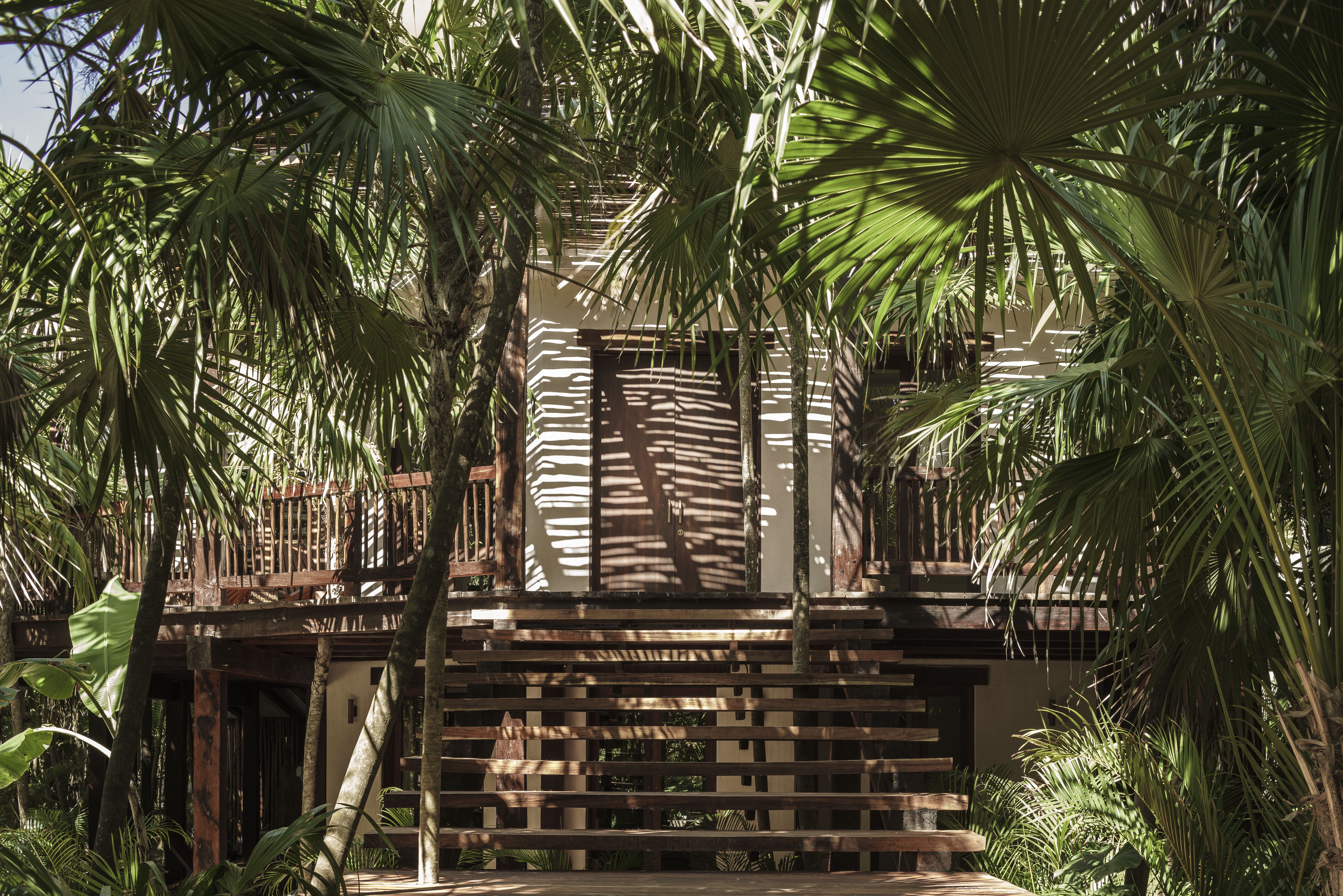 Acquire | The Tulum Treehouse is a minimalist getaway along Mexico’s ...