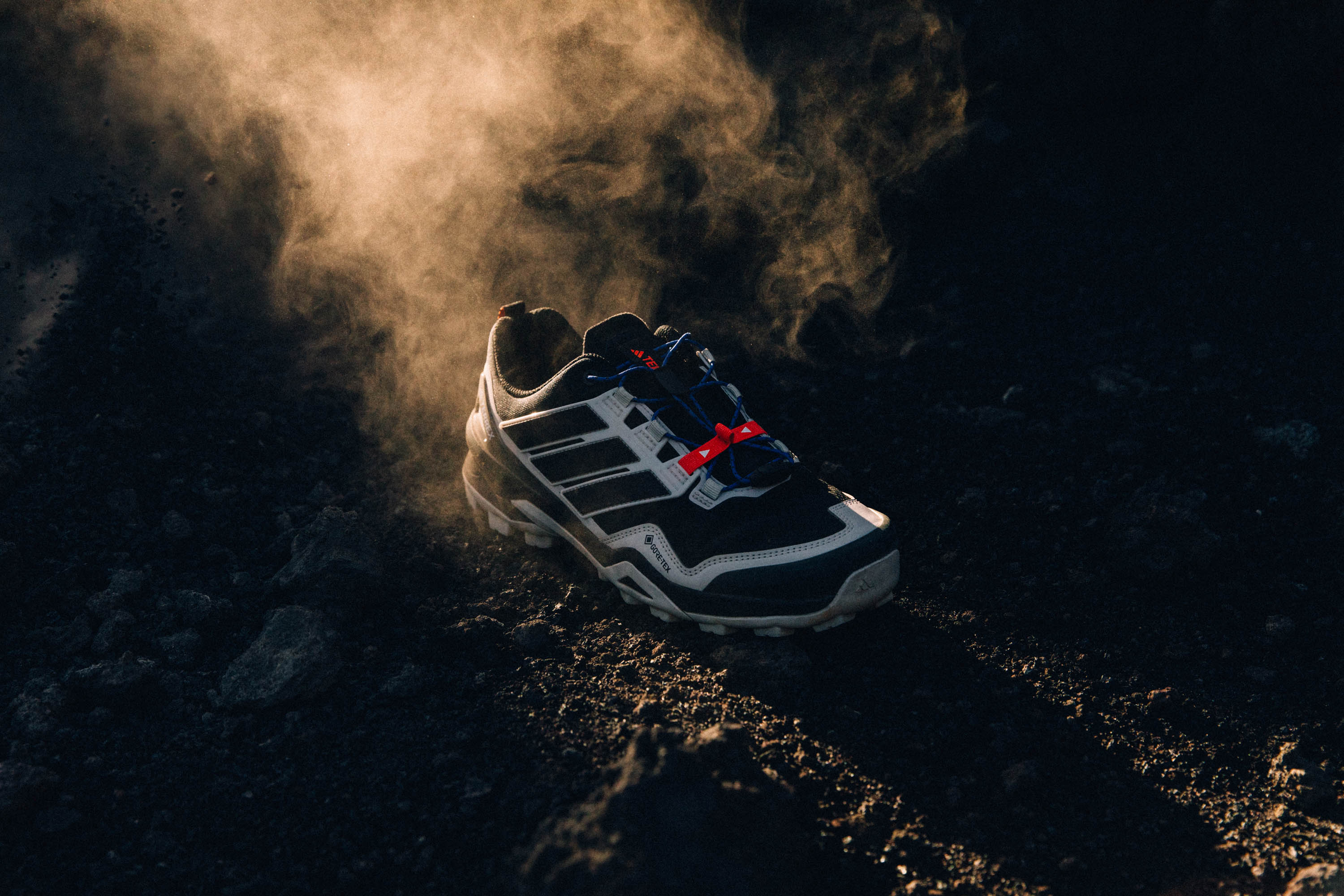 Acquire | adidas Terrex unveils the redesigned Skychaser GORE-TEX trail ...