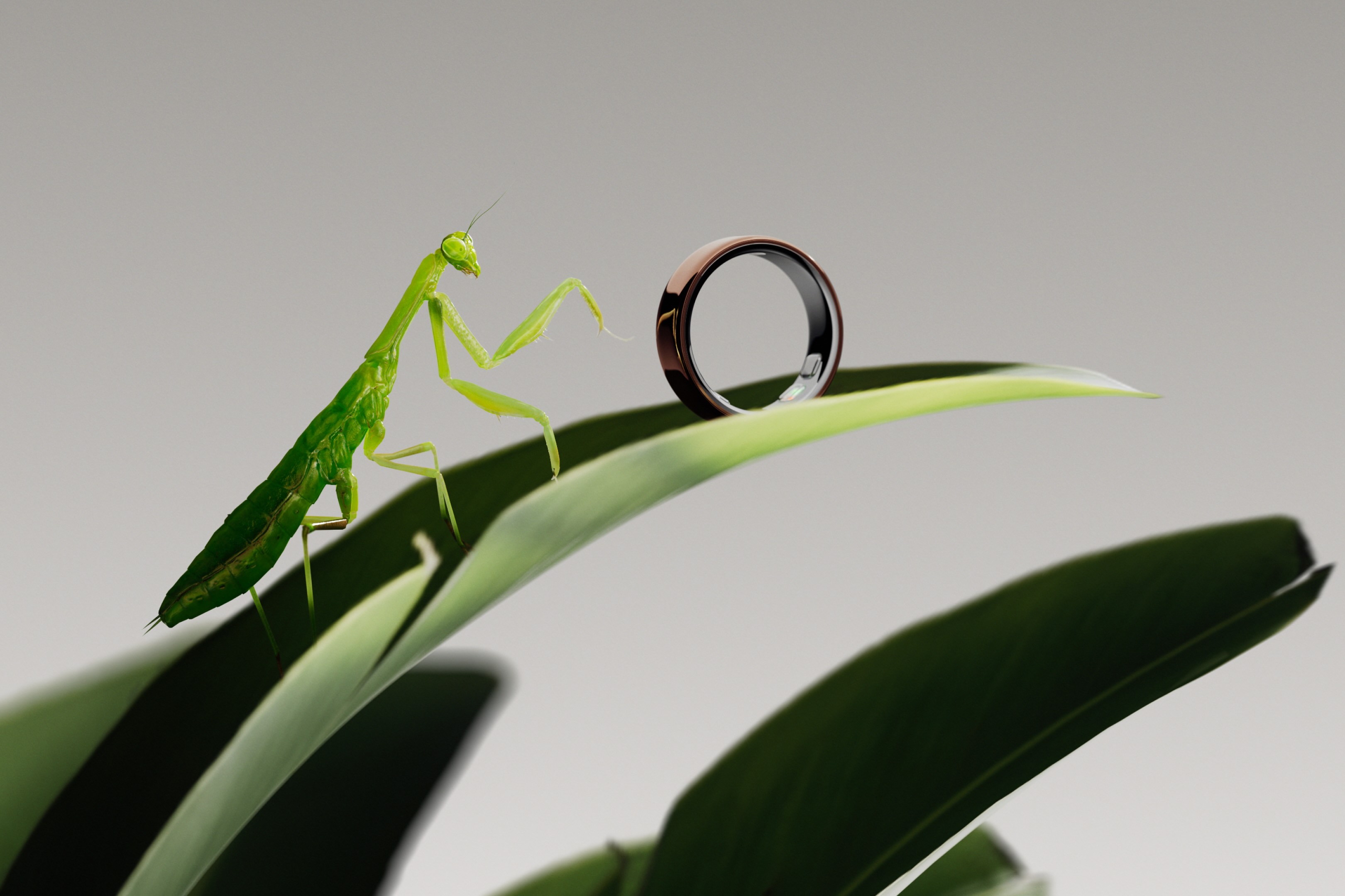 Acquire | Oura Ring 5 arrives with a 40% smaller design and next ...